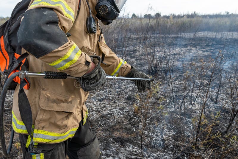 Firefighters Putting Out Forest Fire Stock Image - Image of firefighter ...