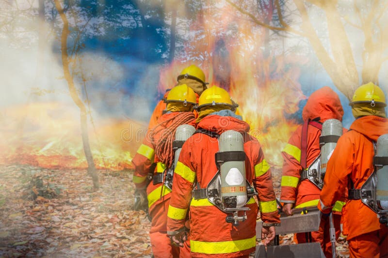 Firefighters Team with Equipment. Stock Photo - Image of natural ...