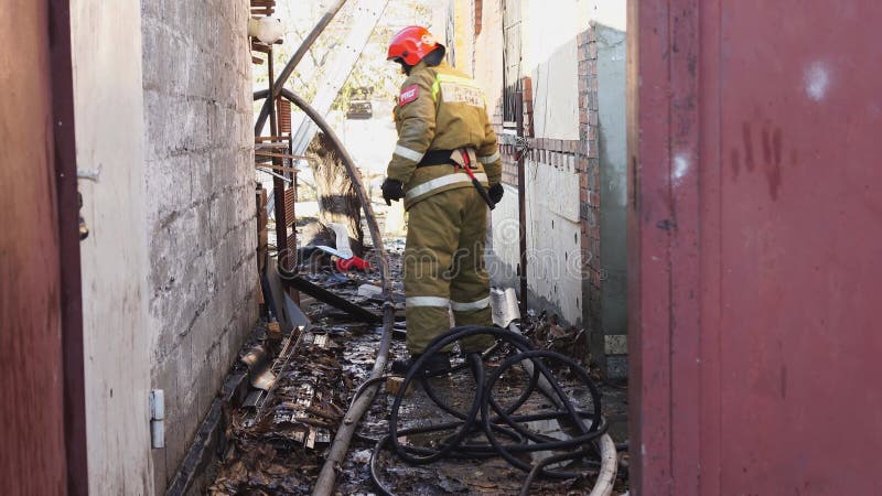 Firefighters are Handling Smoldering Forest Fire Stock Video - Video of ...