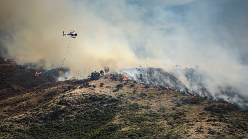 Firefighting Helicopter Drop Water on Forest Fire Stock Photo - Image ...