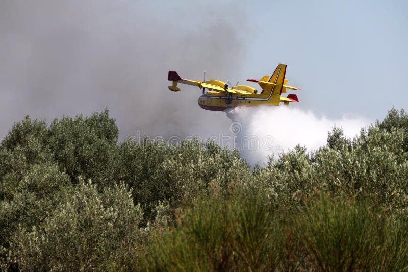 Firefighting Plane in Action Over Forest Fire. Stock Image - Image of ...