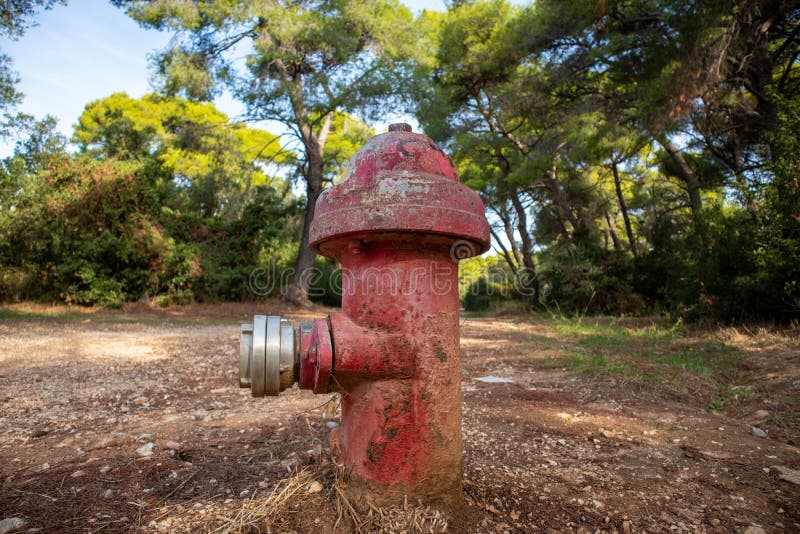 Red Firefighting Hydrant Over the Grey Wall of Staircase. Equipment for ...