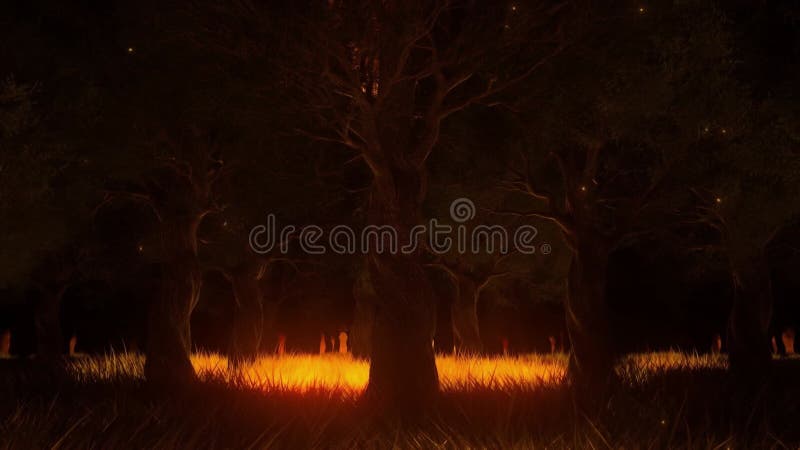 The Forest of the Glowing Lake by Night - Loop Nature Landscape Motion ...