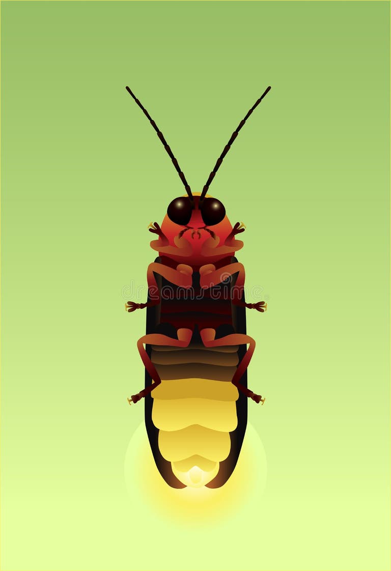 Nature Firefly Stock Illustrations – 12,783 Nature Firefly Stock ...