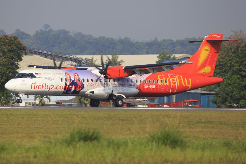 Firefly Take Off stock image. Image of flower, firefly - 8780521