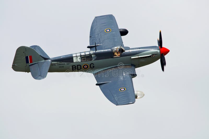 Firefly Airplane editorial stock image. Image of firefly - 15717324