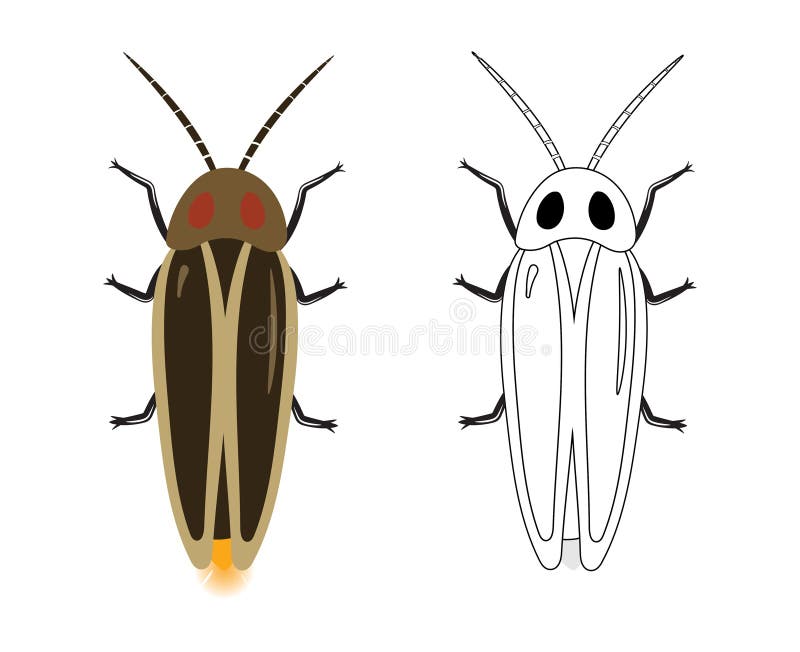 Detailed Firefly Cartoon Character with Flat Design and Line Art Black ...
