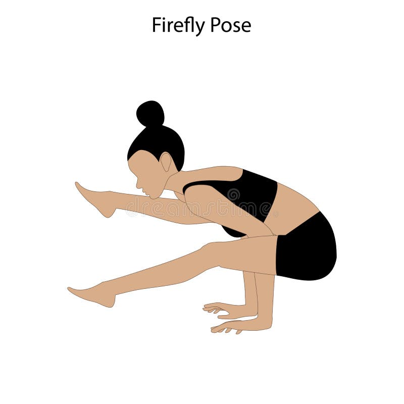 Firefly Pose Yoga Manga Tutorial How Cartoon Vector Illustration Stock ...