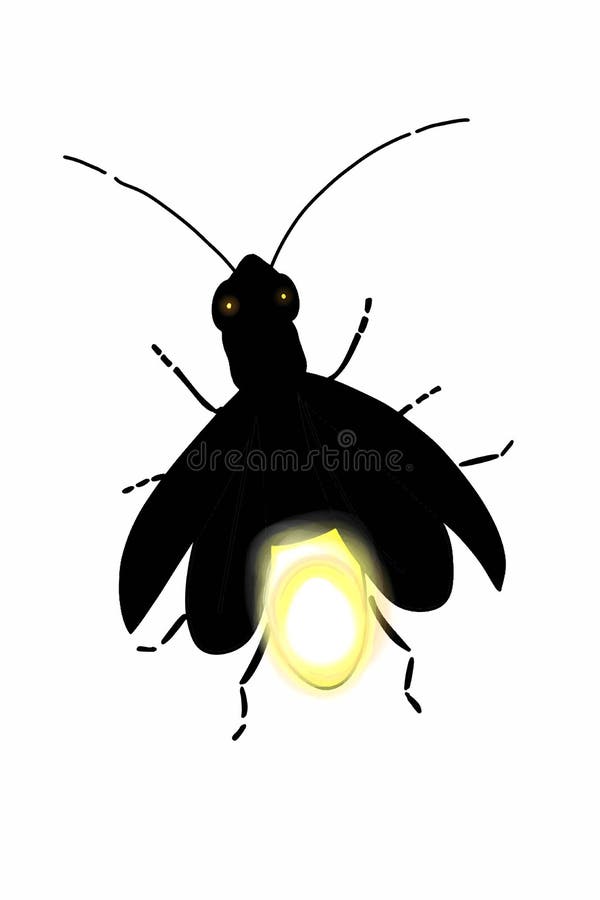 Firefly-stella Illustration Drawing, Black Shadow and Light Body Stock ...