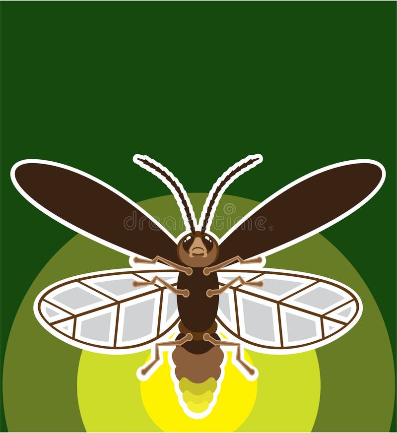 Firefly stock vector. Illustration of captured, arthropod - 41540474