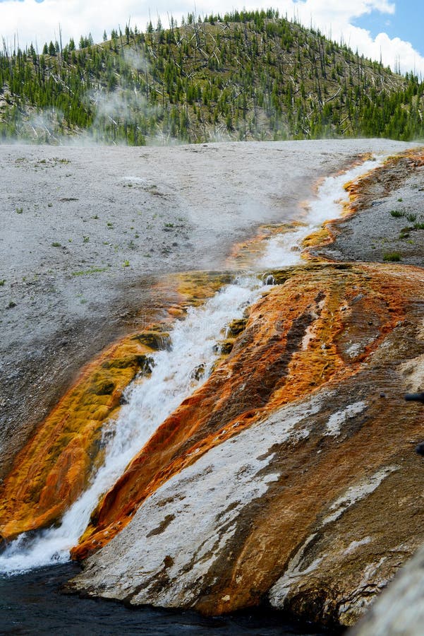 The Firehole Geyser Keeps a Steady Flow of Hot Water. Stock Photo ...