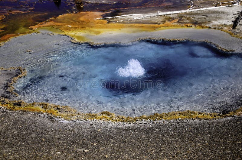 Firehole Spring Yellowstone National Park Stock Image - Image of ...