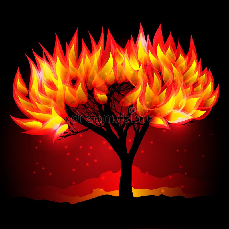 Fireing Tree Stock Illustrations – 1 Fireing Tree Stock Illustrations ...