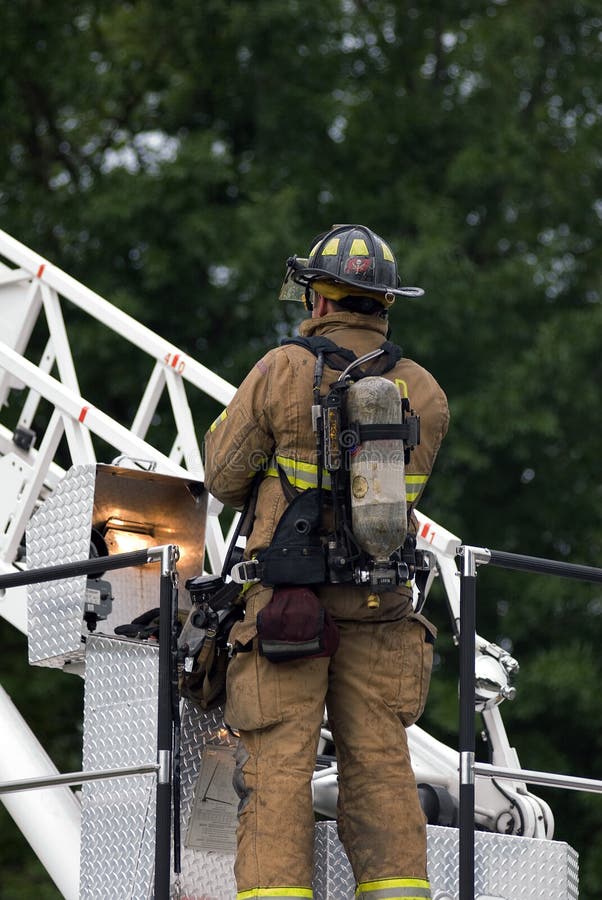 Firefighter on Ladder stock photo. Image of fighter, ladder - 7903350