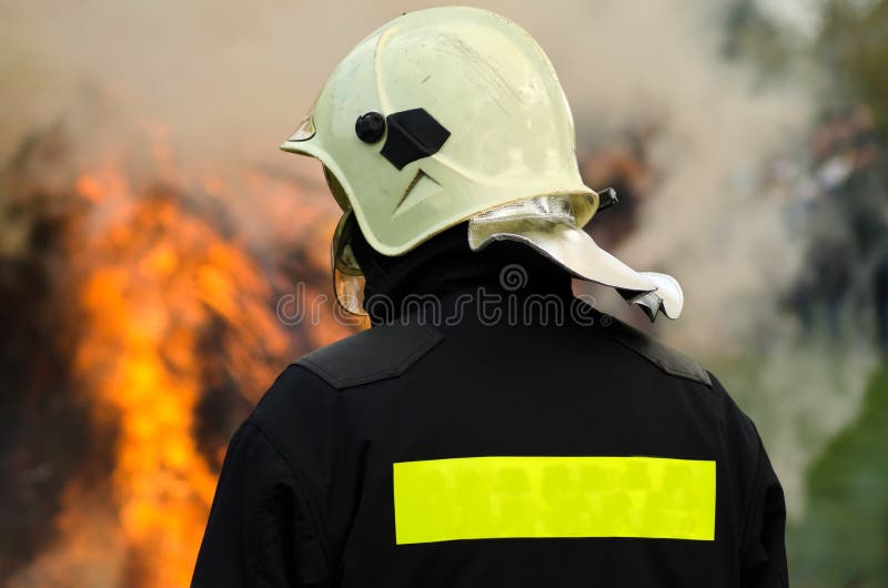 Fireman on the Back of Forest Fire Stock Image - Image of forest ...