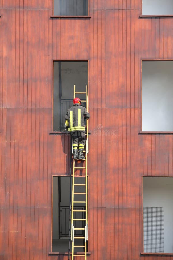 Fireman Climbs Up the Ladder during a Training Stock Photo - Image of ...