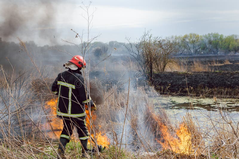 Fireman or Firefighter Backburning and Extinguishing a Wildfire Grass ...