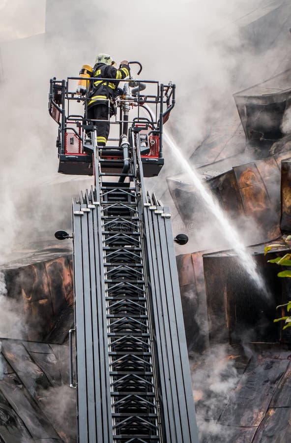 Fireman on ladder stock photo. Image of helmet, ladder - 14238196