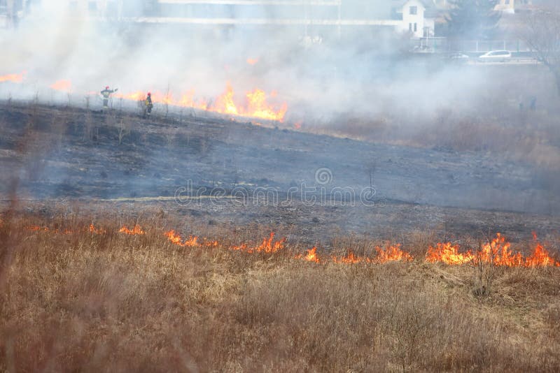 Guard during Fire Fighting on Dry Meadows. Stock Image - Image of flame ...