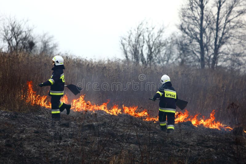 Guard during Fire Fighting on Dry Meadows. Stock Image - Image of hero ...