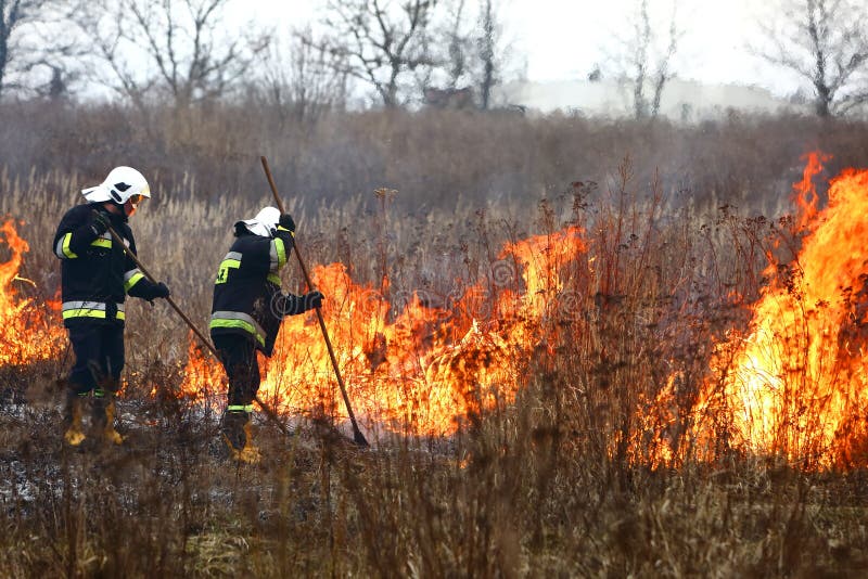Guard during Fire Fighting on Dry Meadows. Stock Photo - Image of black ...