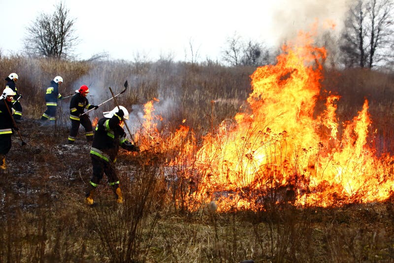 Guard during Fire Fighting on Dry Meadows. Stock Image - Image of ...