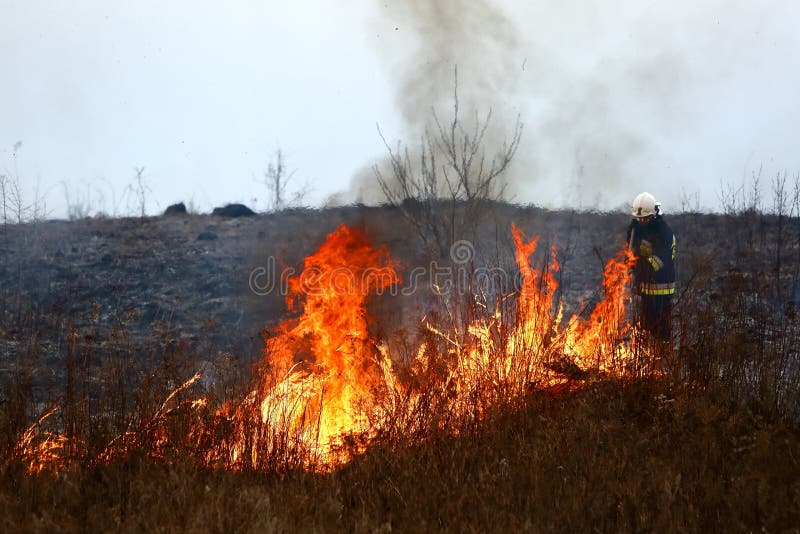 Guard during Fire Fighting on Dry Meadows. Stock Photo - Image of ...