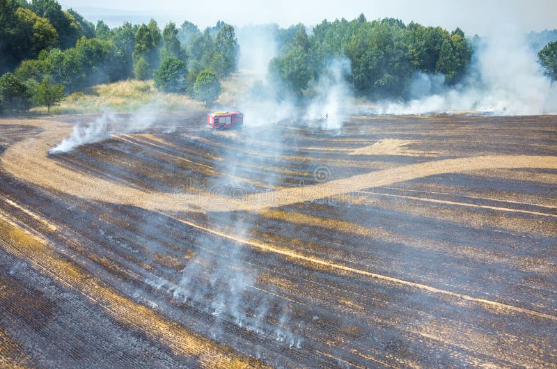 Fireman Truck Working on the Field on Fire Stock Photo - Image of money ...