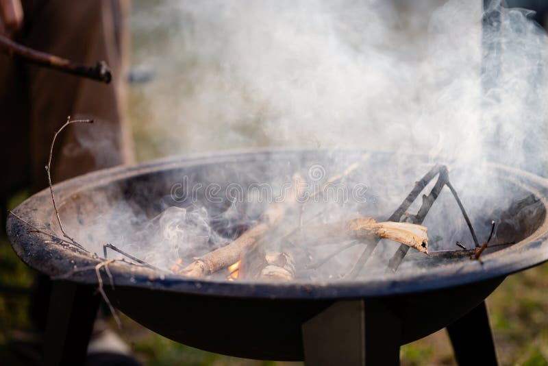 Fireplace with Branches of a Tree and Smoke, Iron Barbecue Grill Stock ...