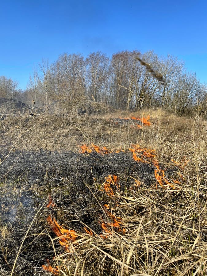 Fires Destroy the Dried Up Fields of the Old Grass Stock Photo - Image ...