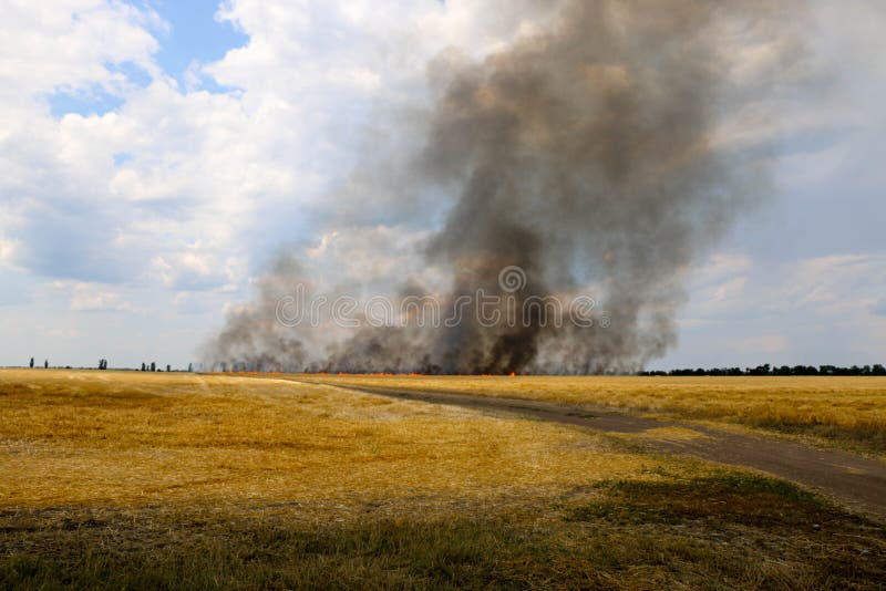 Fires Dry Completely Destroy the Fields. Burning Fields, Tornado, Smoke ...