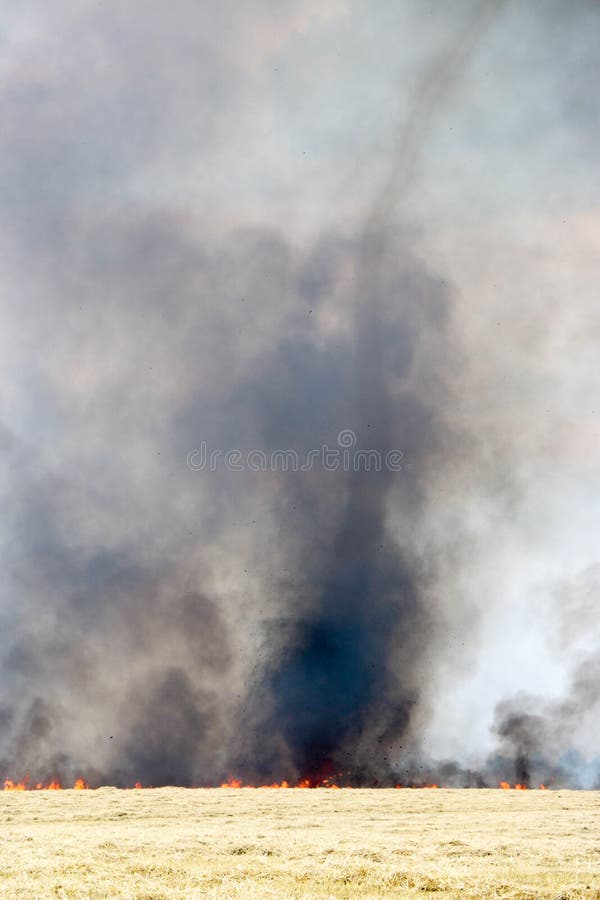 Fires Dry Completely Destroy the Fields. Burning Fields, Tornado, Smoke ...