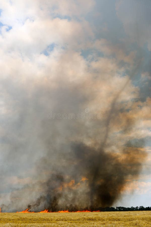 Fires Dry Completely Destroy the Fields. Burning Fields, Tornado, Smoke ...
