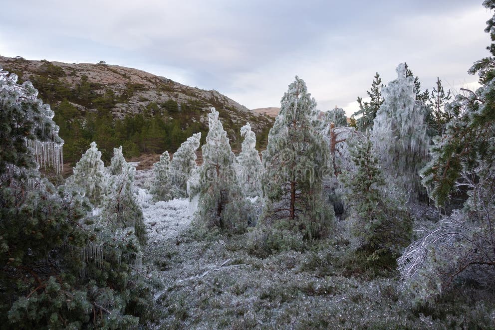 Firewall of Ice stock image. Image of wind, norway, firewall - 66724815