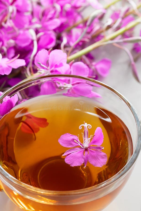 Fireweed Herb Known As Blooming Sally and Tea in a Cup, Vertical Image ...