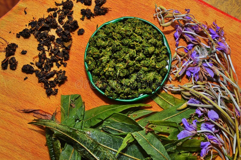 Fireweed Medicinal Plant. Fermentation Stock Photo - Image of nature ...
