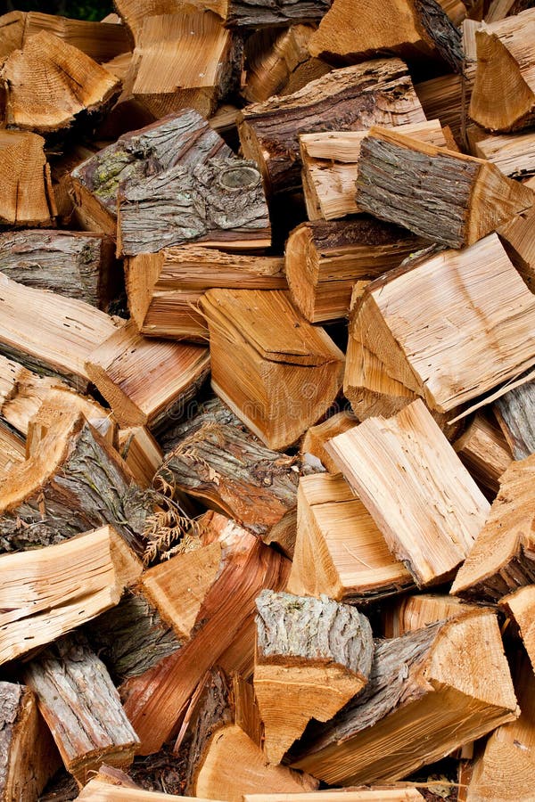 Firewood stock photo. Image of firewood, fuel, trees - 10063474