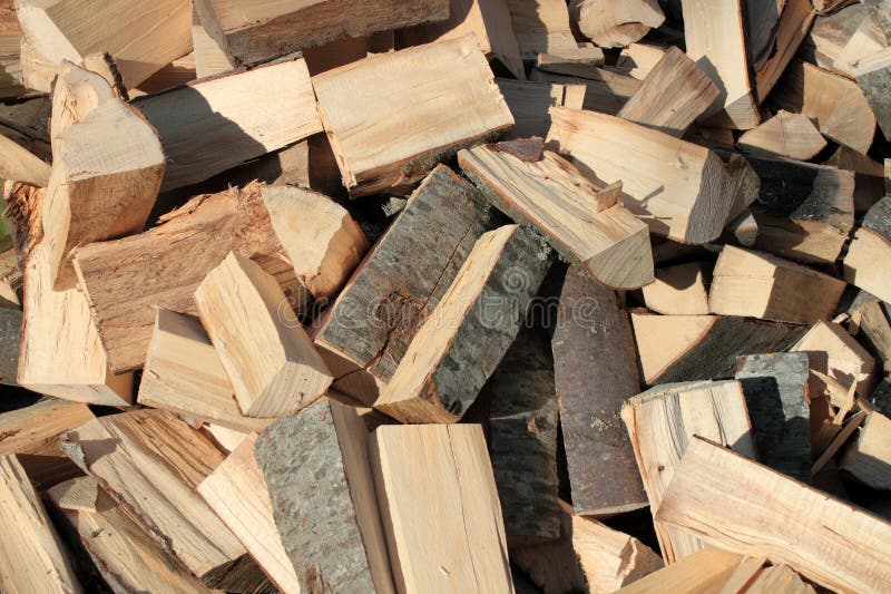 Firewood stock photo. Image of firewood, sawn, store - 16673774
