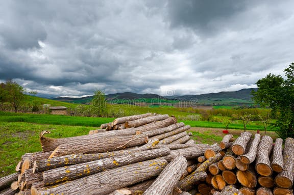 Firewood stock image. Image of europe, mist, landscape - 26748031