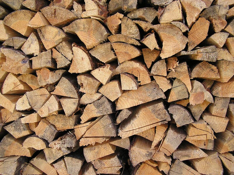 Firewood stock image. Image of home, renewable, plant - 4333915