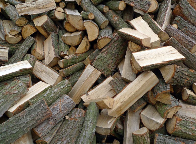 Rotting wood stock image. Image of wood, macro, background - 793075