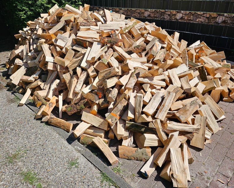Firewood in autumn stock photo. Image of renewable, energy - 288738866