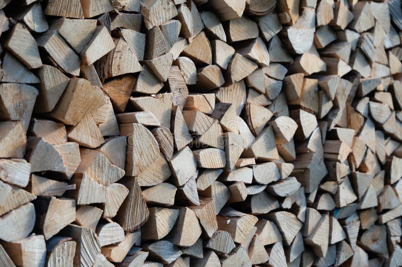 Firewood in autumn stock image. Image of regenerative - 288738903