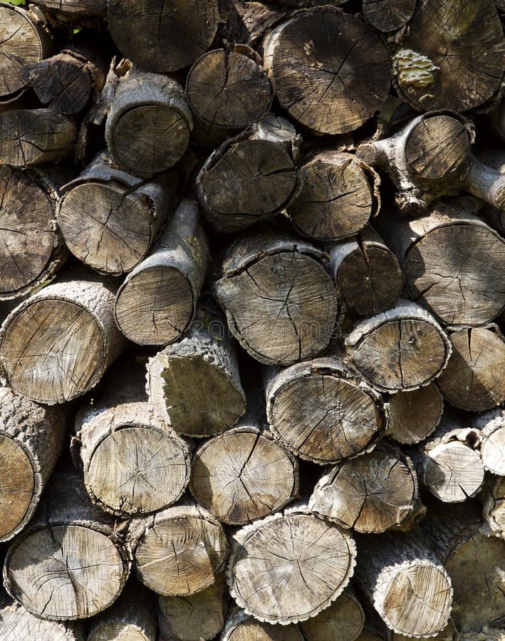 Firewood Background Picture. Image: 875581