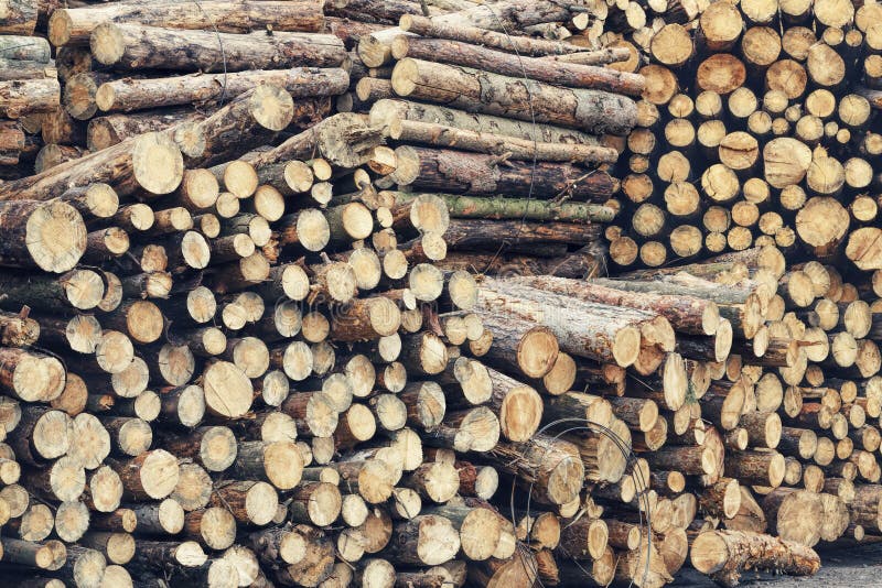 Firewood, Background, Brown, Cut, Environment, Forest, Material ...