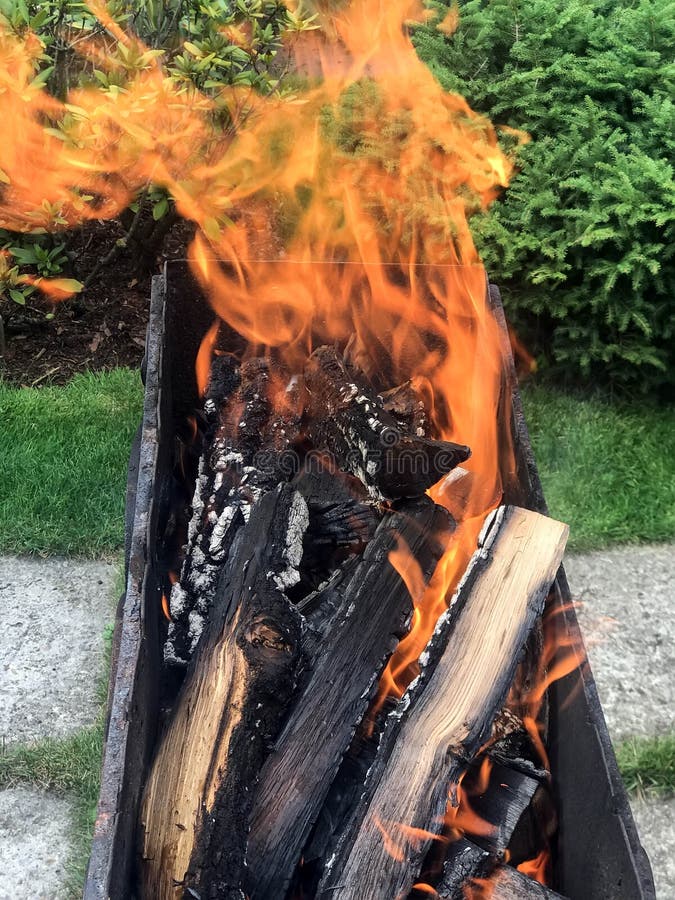 Firewood for Barbecue Grill Burn Stock Photo - Image of bright, flare ...