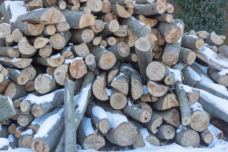 Firewood stock photo. Image of bunch, trees, material - 162389820