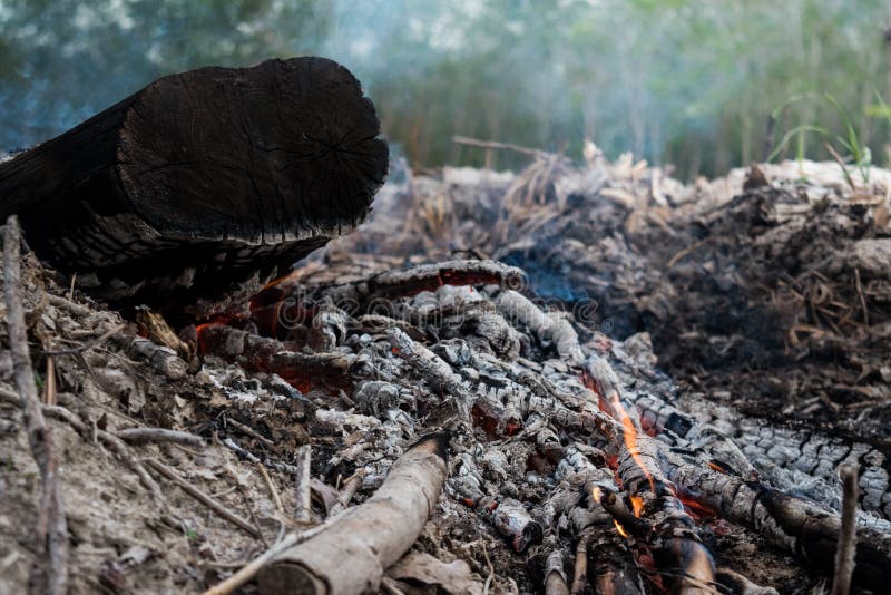 Onyx Cinders Stock Photos - Free & Royalty-Free Stock Photos from ...