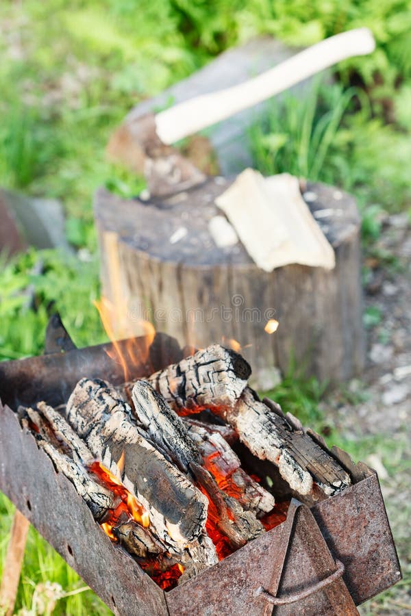 Firewood is Burning in the Fireplace. Close-up View of the Fire Stock ...