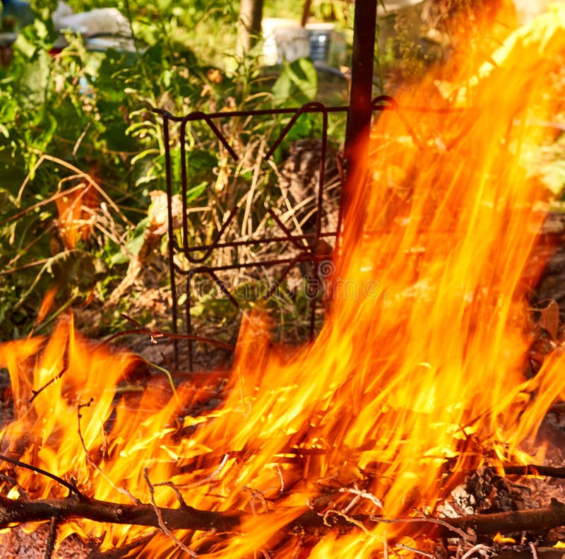 Firewood Burns with a Bright Hot Flame, a Fire Stock Image - Image of ...